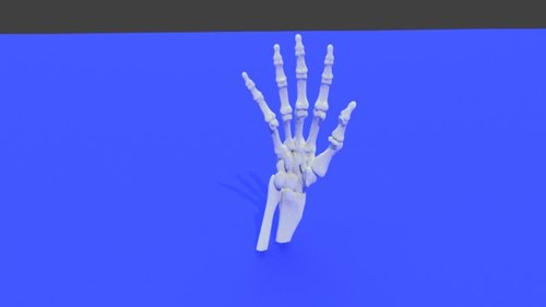 Hand - stl file processed - Extremity, Upper (Arm) - embodi3D.com