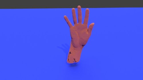 Human Hand - stl file processed - Extremity, Upper (Arm) Muscles ...