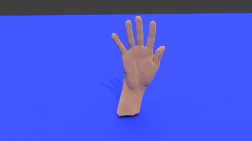 Human hand - stl file processed - Skin - embodi3D.com
