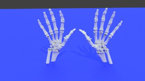 Hand CT scan - stl file processed - Extremity, Upper (Arm) - embodi3D.com