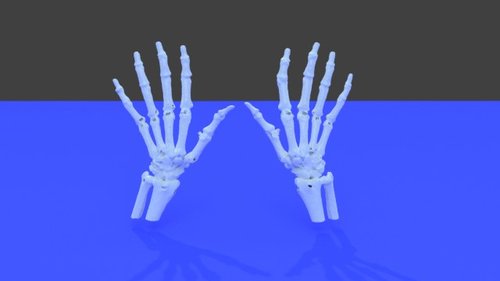Hand CT scan - stl file processed - Extremity, Upper (Arm) - embodi3D.com