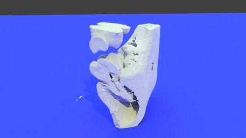 tooth - stl file processed - Dental, Orthodontic, Maxillofacial ...