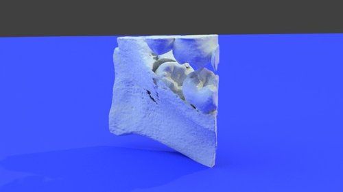 tooth - stl file processed - Dental, Orthodontic, Maxillofacial ...