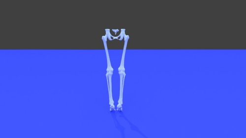 leg - stl file processed - Extremity, Lower (Leg) - embodi3D.com