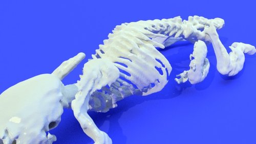 mice - stl file processed - Skull and Face - embodi3D.com