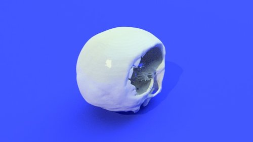 Patient Specific Implant - Cranial Plate Ready for Print in Metal ...