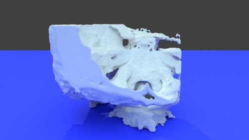 ear - stl file processed - Dental, Orthodontic, Maxillofacial ...