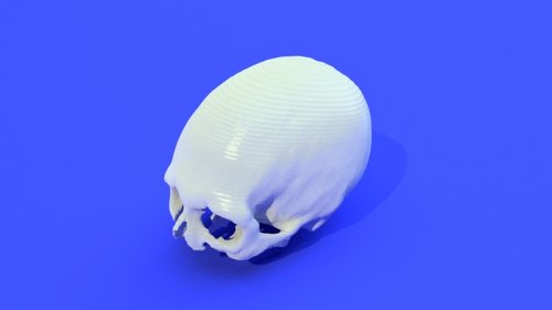 skull - stl file processed - Skull and Face - embodi3D.com