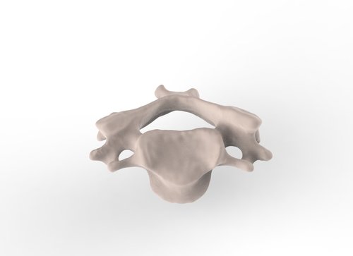 Cervical Spine C1-C5 - Spine and Pelvis - embodi3D.com