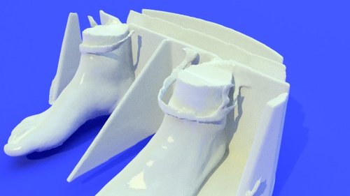 Foot - stl file processed - Skin - embodi3D.com