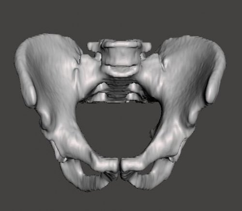 Downloads - embodi3D.com