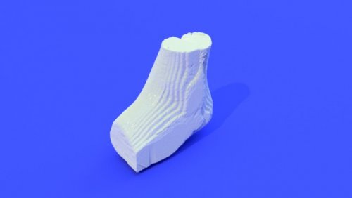 Foot - stl file processed - Skin - embodi3D.com