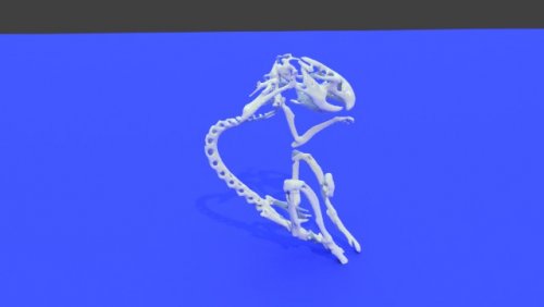 PDT - stl file processed - Dogs - embodi3D.com