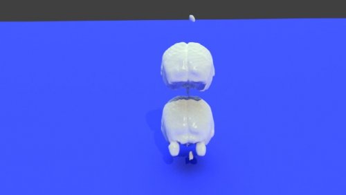 Human Head - stl file processed - Brain - embodi3D.com