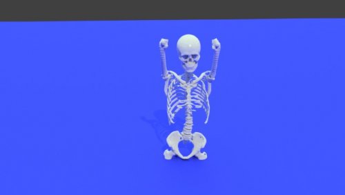 CT Scan Math - stl file processed - Whole body - embodi3D.com