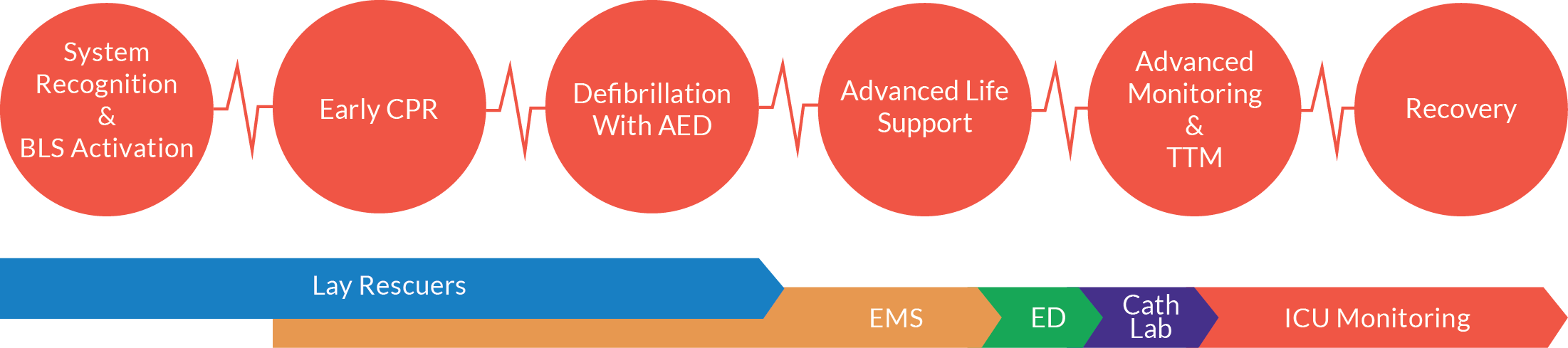 The Ultimate BLS Cheatsheet | eMedCert Blog