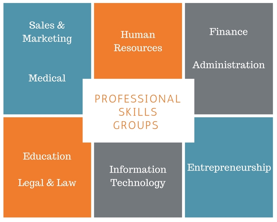 NETEXPAT COMMUNITY PROFESSIONAL SKILLS GROUPS