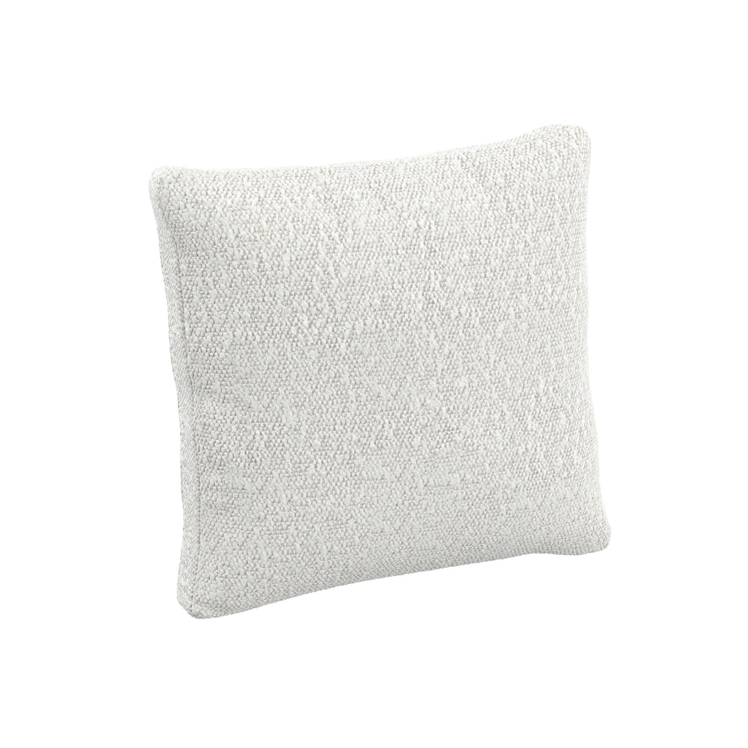 Throw Pillow (20" x 20")