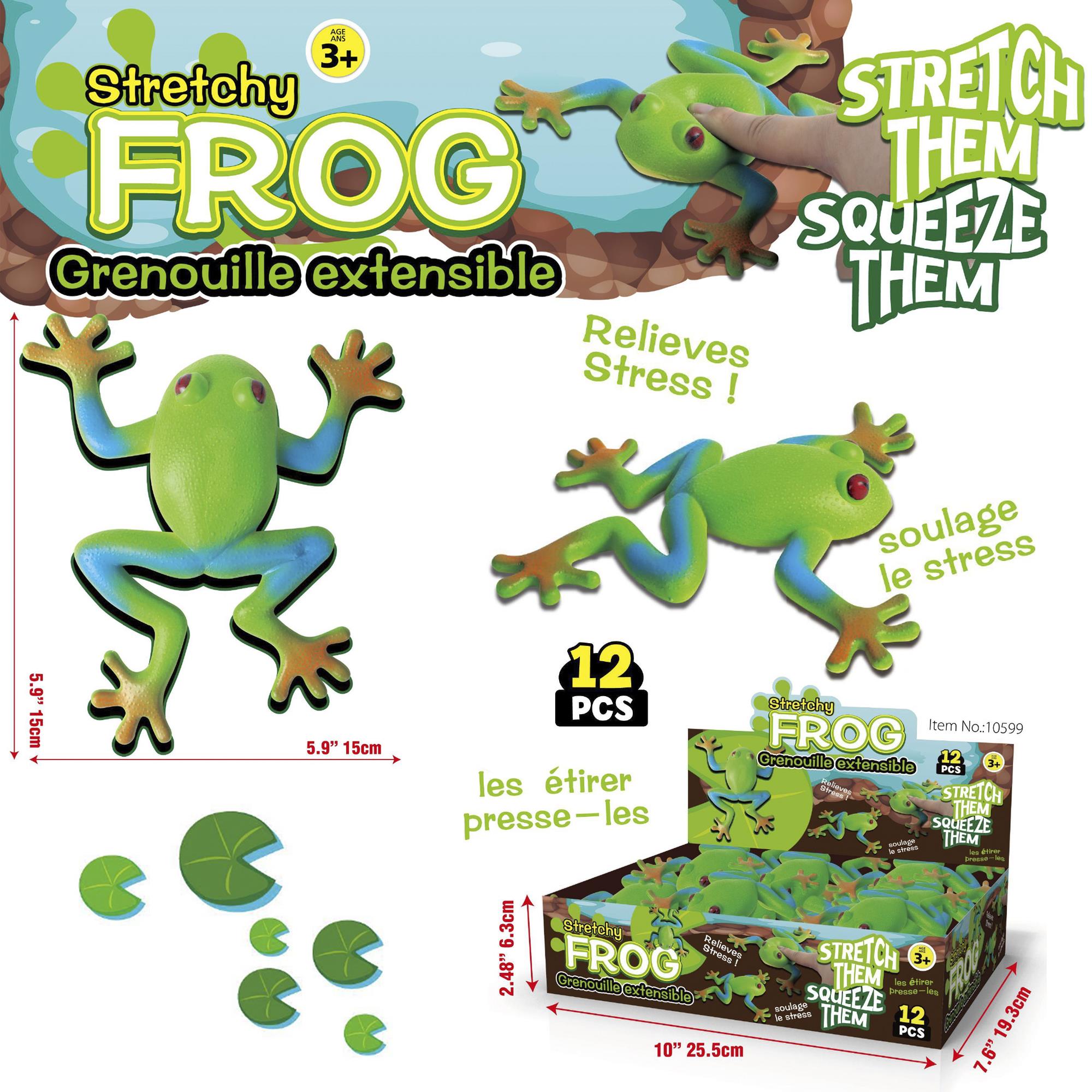 Fidget Stretchy Frog, 12pcs/dsp