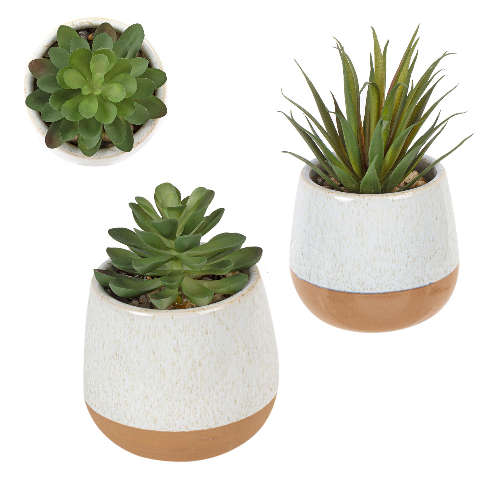 Faux Succulent in 4" Ceramic Pot, 2 Asst