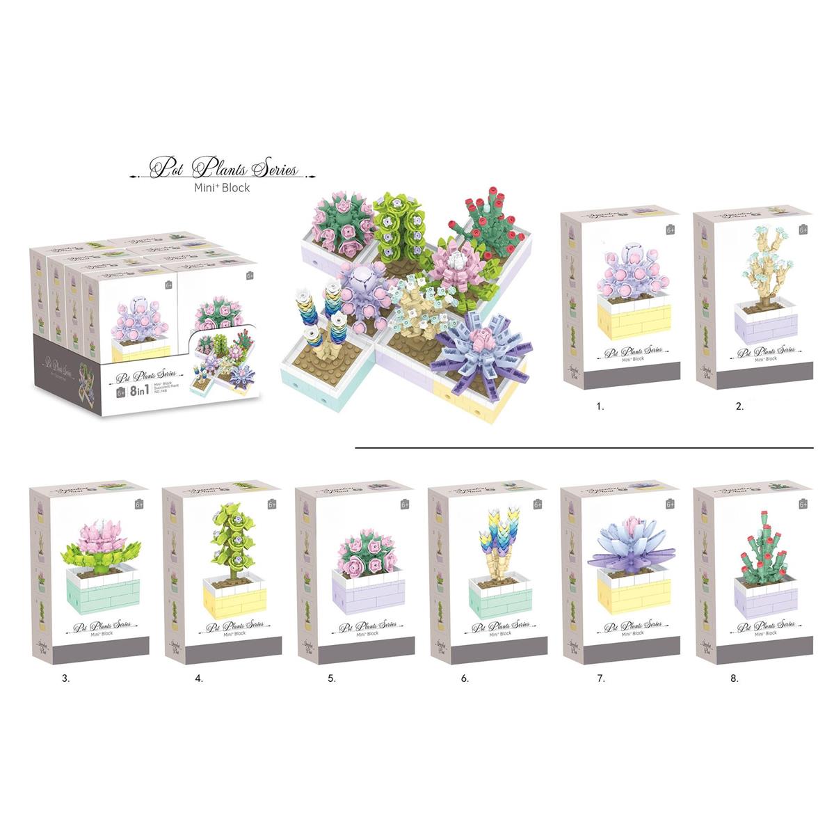 DIY Succulent Plant Building Blocks, 8 Asst., 8pcs/dsp