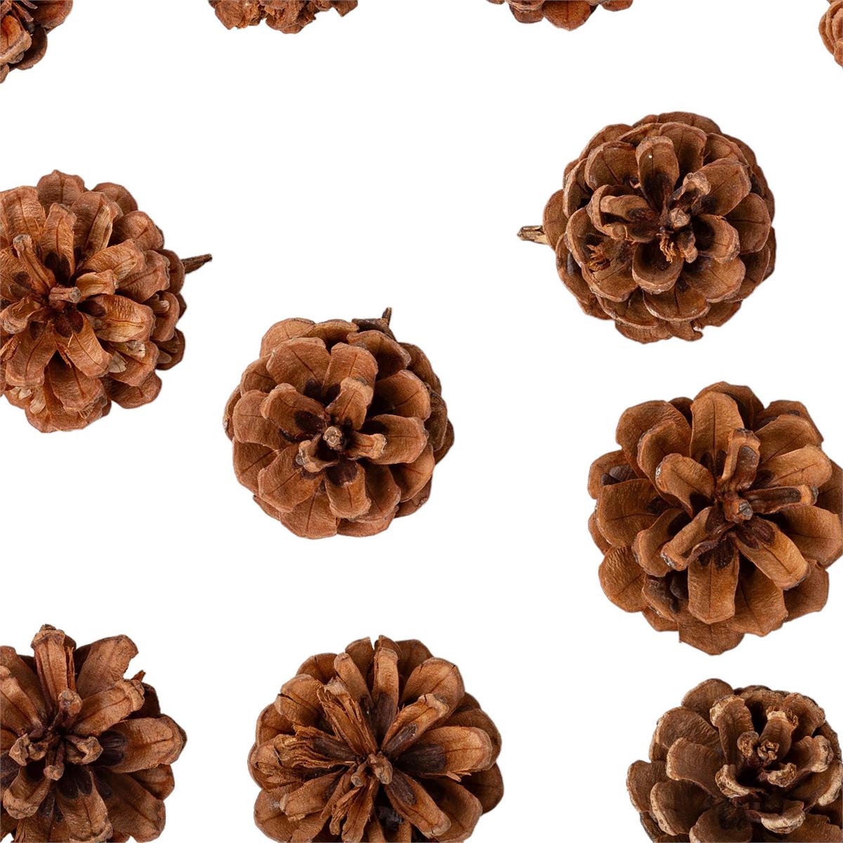 Deco N. 12pcs 2" Pinecones in Net Bag, 2asst., cht