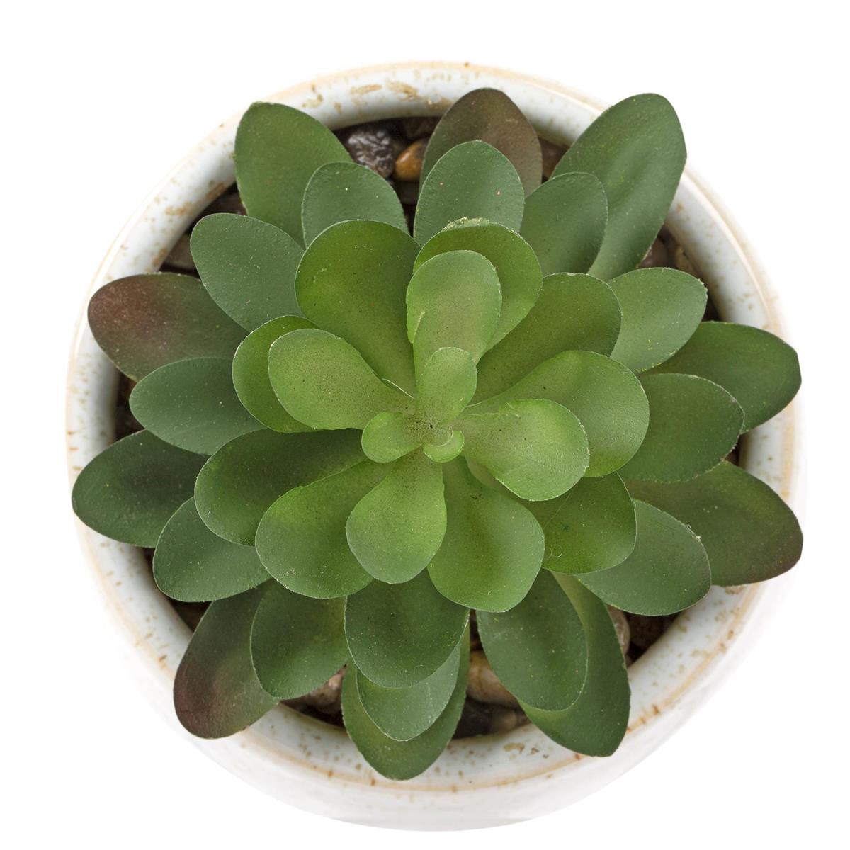 Faux Succulent in 4" Ceramic Pot, 2 Asst
