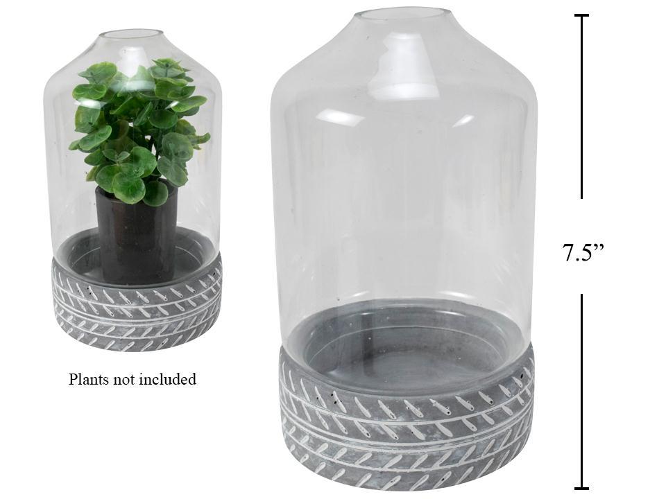 Glass Terrarium w/Concrete Base 4.5x7.5", wht box w/label
