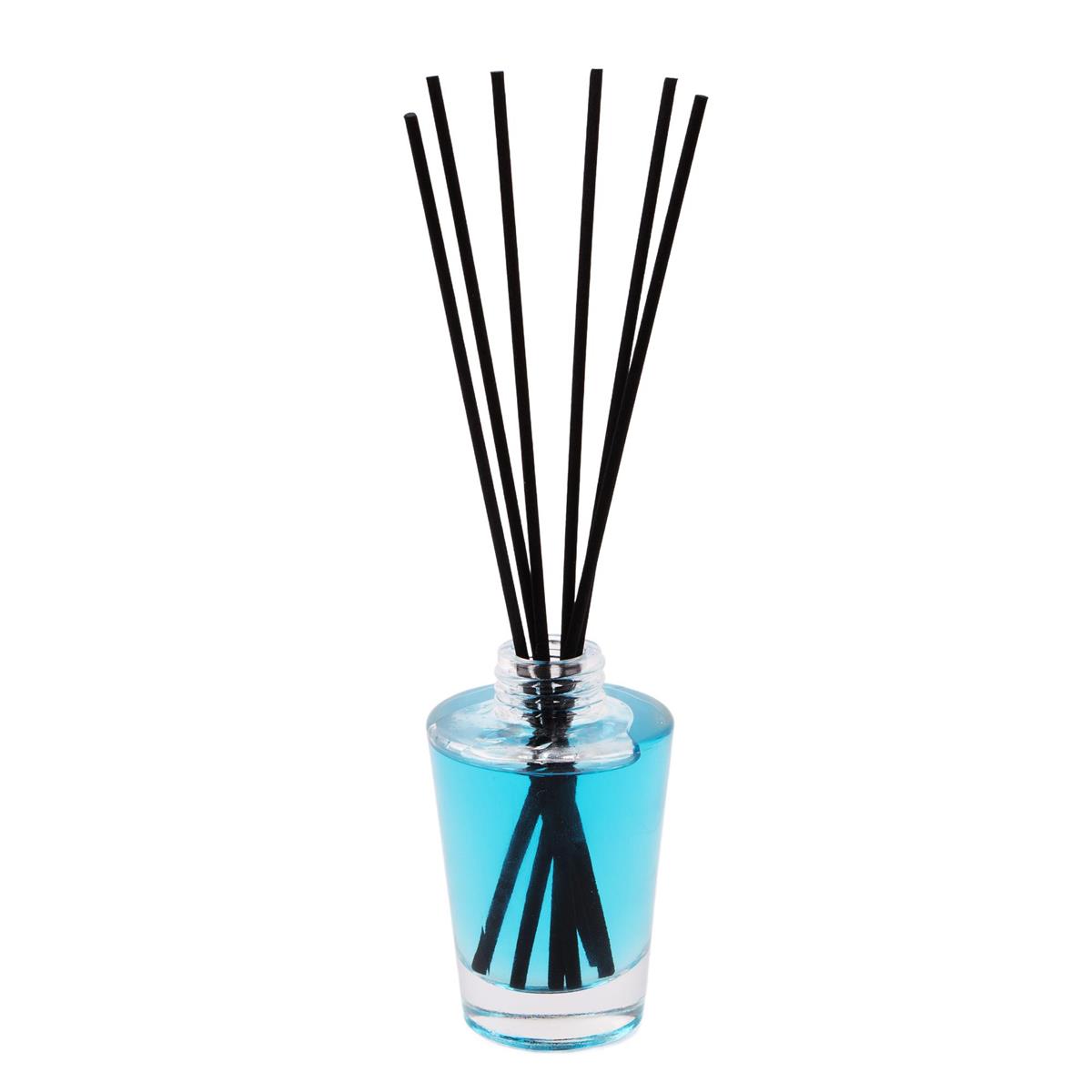 100ml Reed Diffuser, 6Asst, cbx