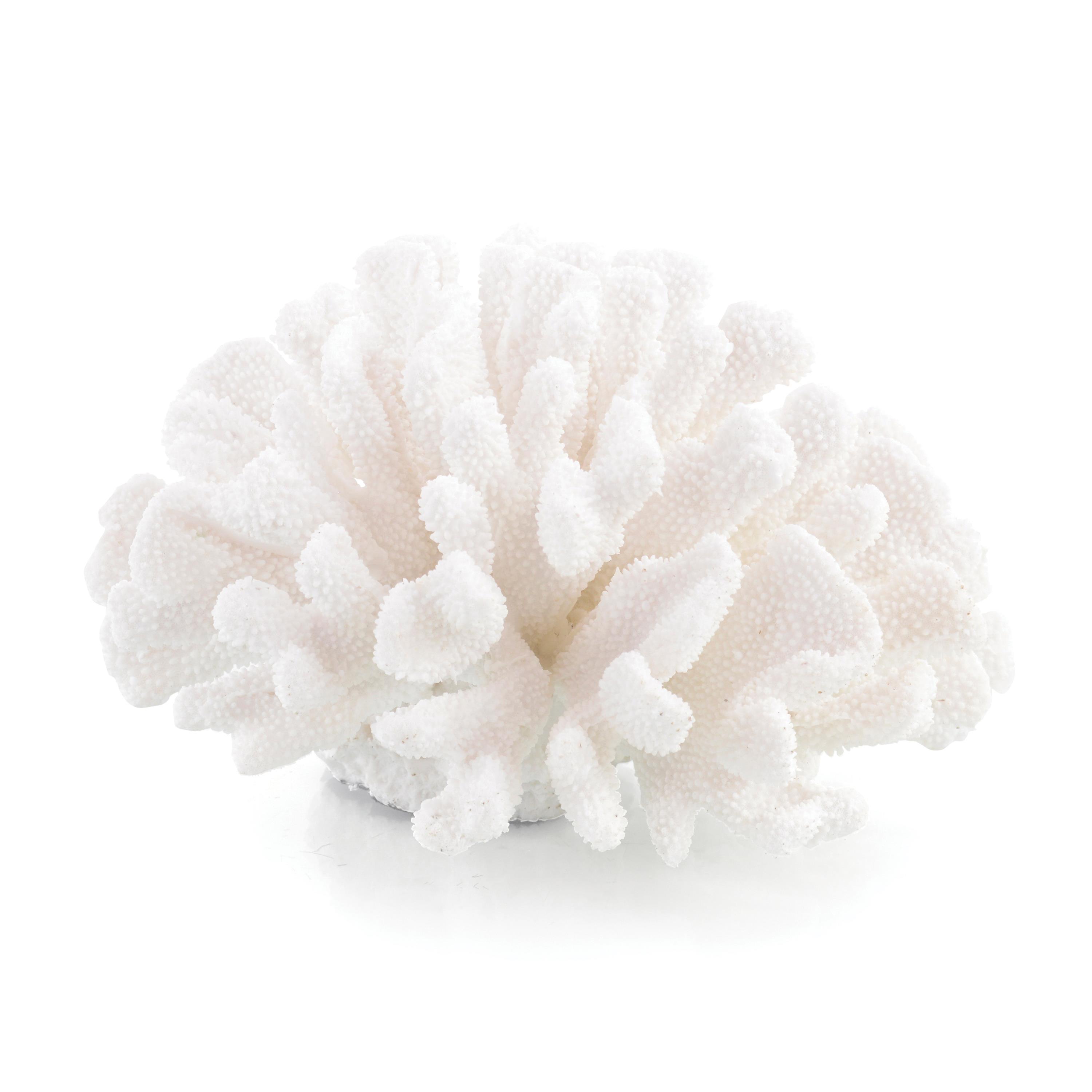 H-9.5Hx15.75Wx15D MALDIVES CORAL