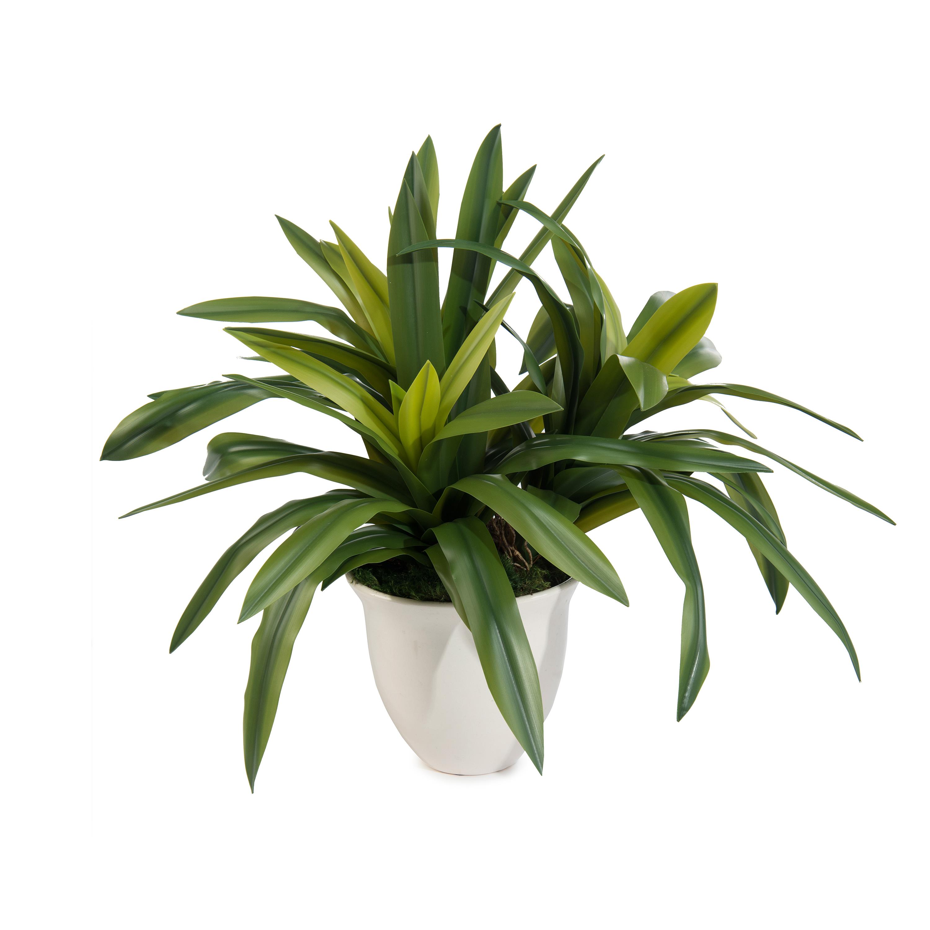 04-25"H X 31"D FRESH GREENERY