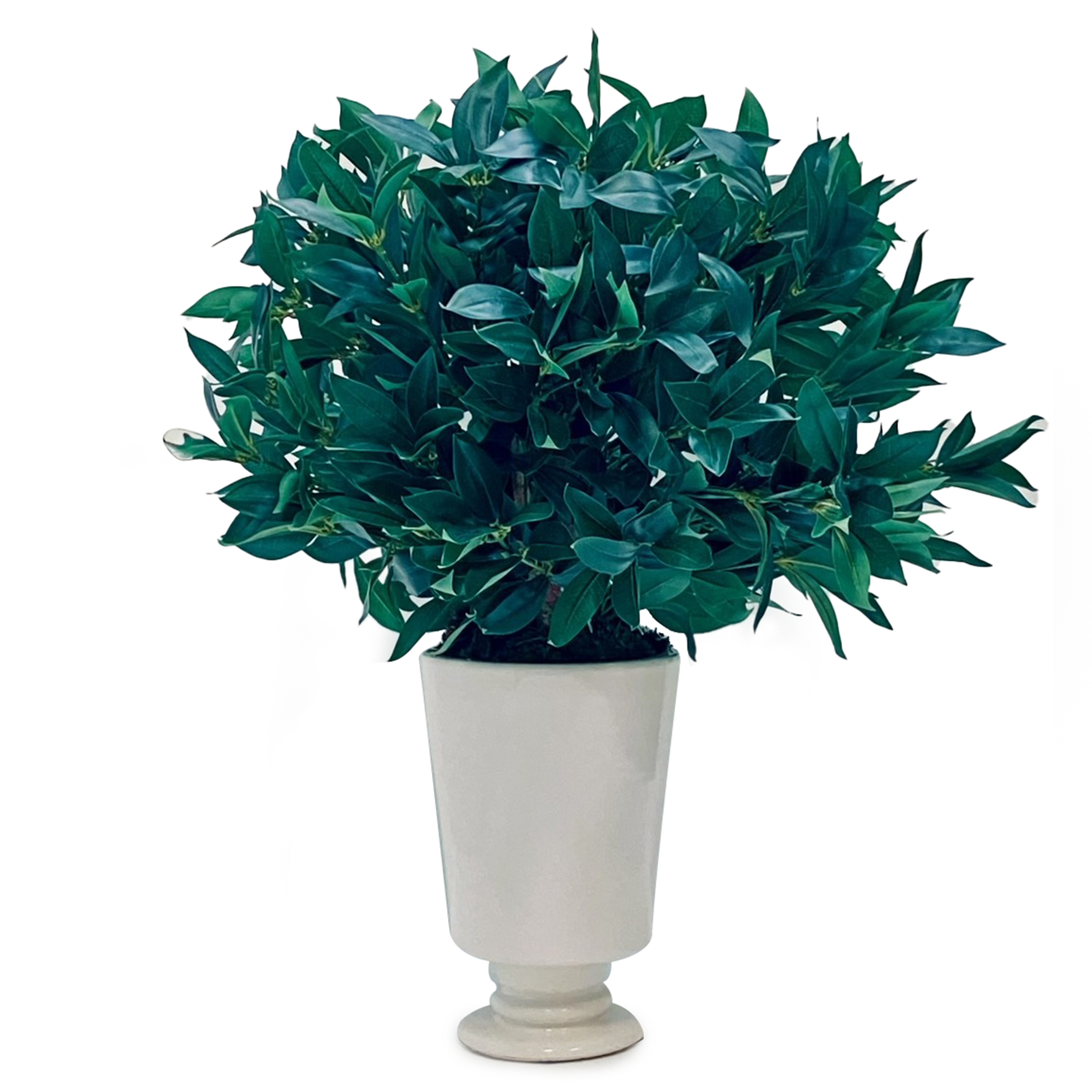 04-30"H X 25"W X 25"D BAY LEAF TOPIARY