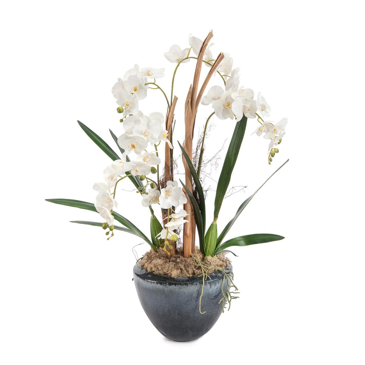 04- 47X39X25 WILD ORCHID