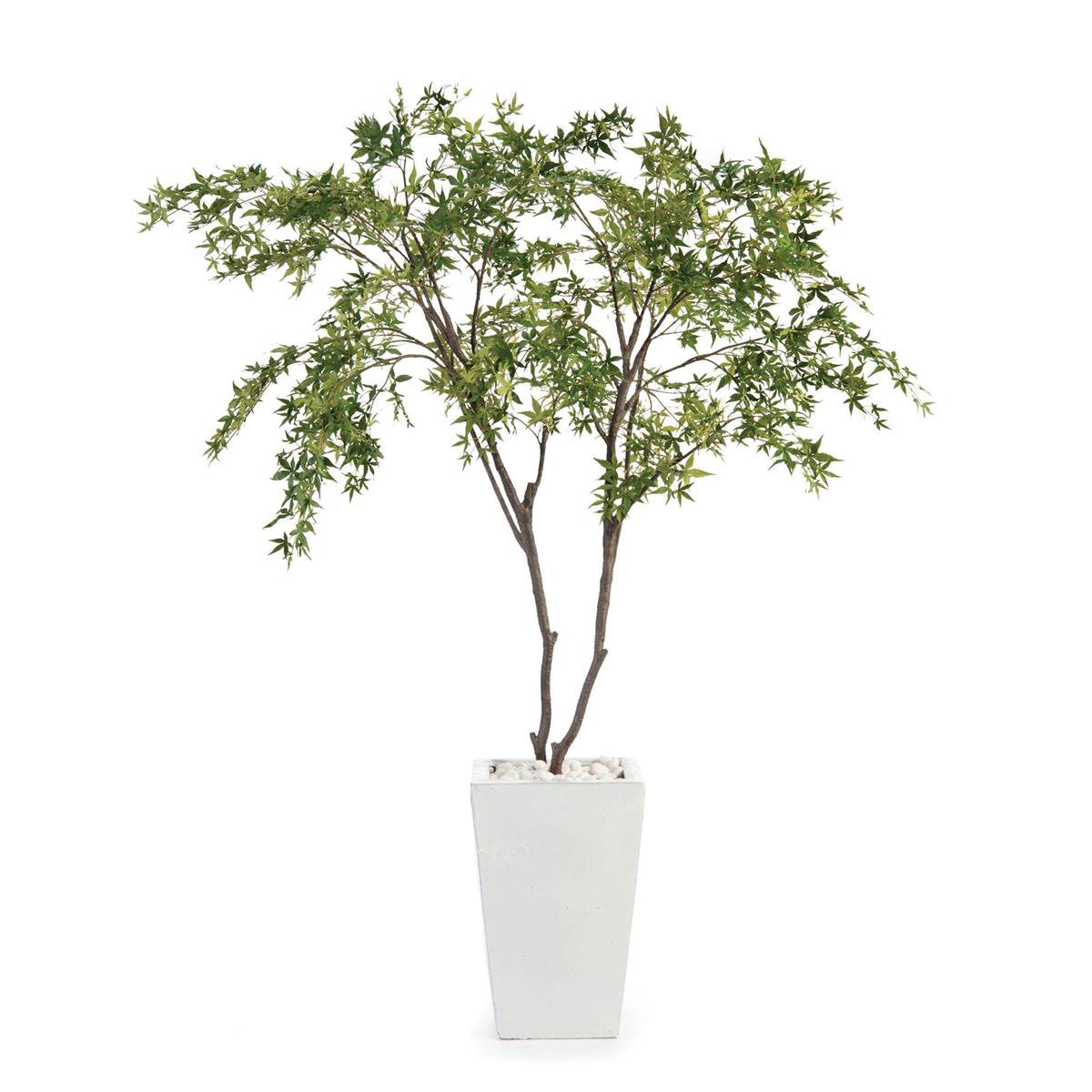 H-88"H X 65"W X 67"D WHITE MAPLES