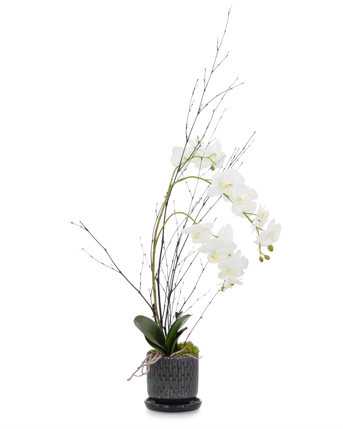 04-36"H X 17"W X 8"D MIDNIGHT ORCHID