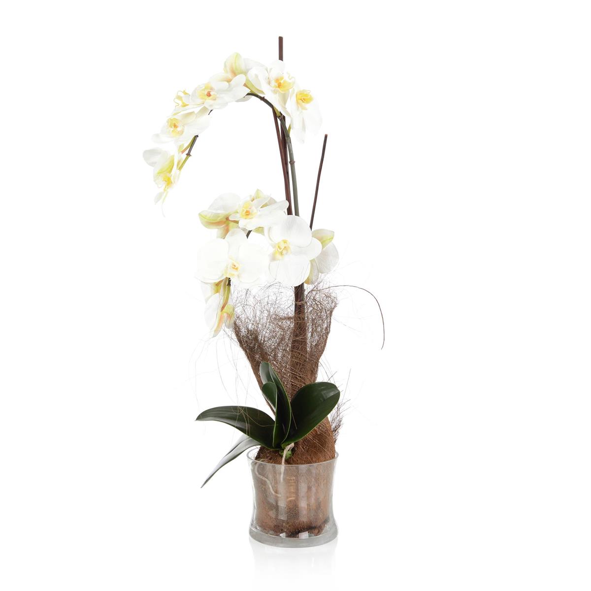 04-31"H X 10"W X 11"D COCO ORCHIDS
