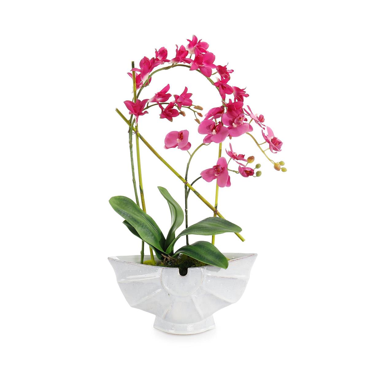 28"H X 18"W X 6"D SHELL ORCHIDS