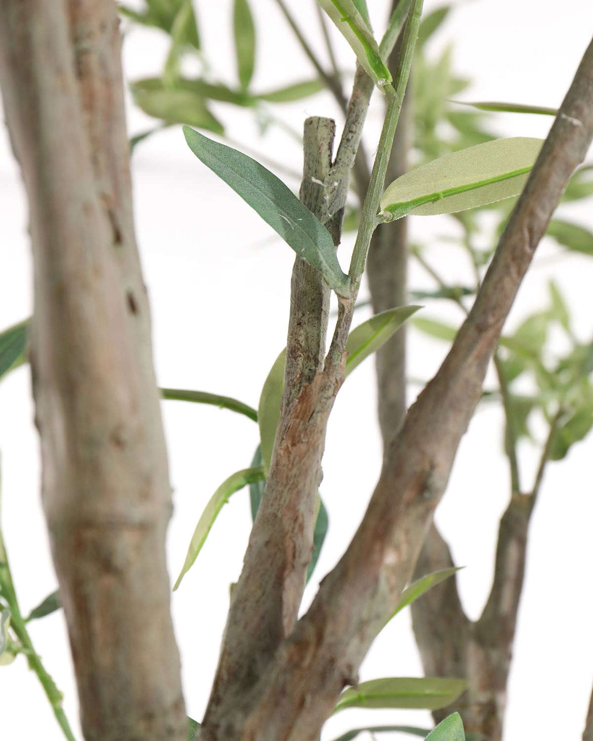 H-110"H X 53"W X48"D TUSCAN OLIVE