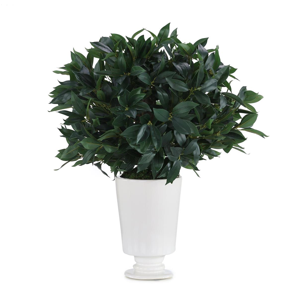 04-30"H X 25"W X 25"D BAY LEAF TOPIARY