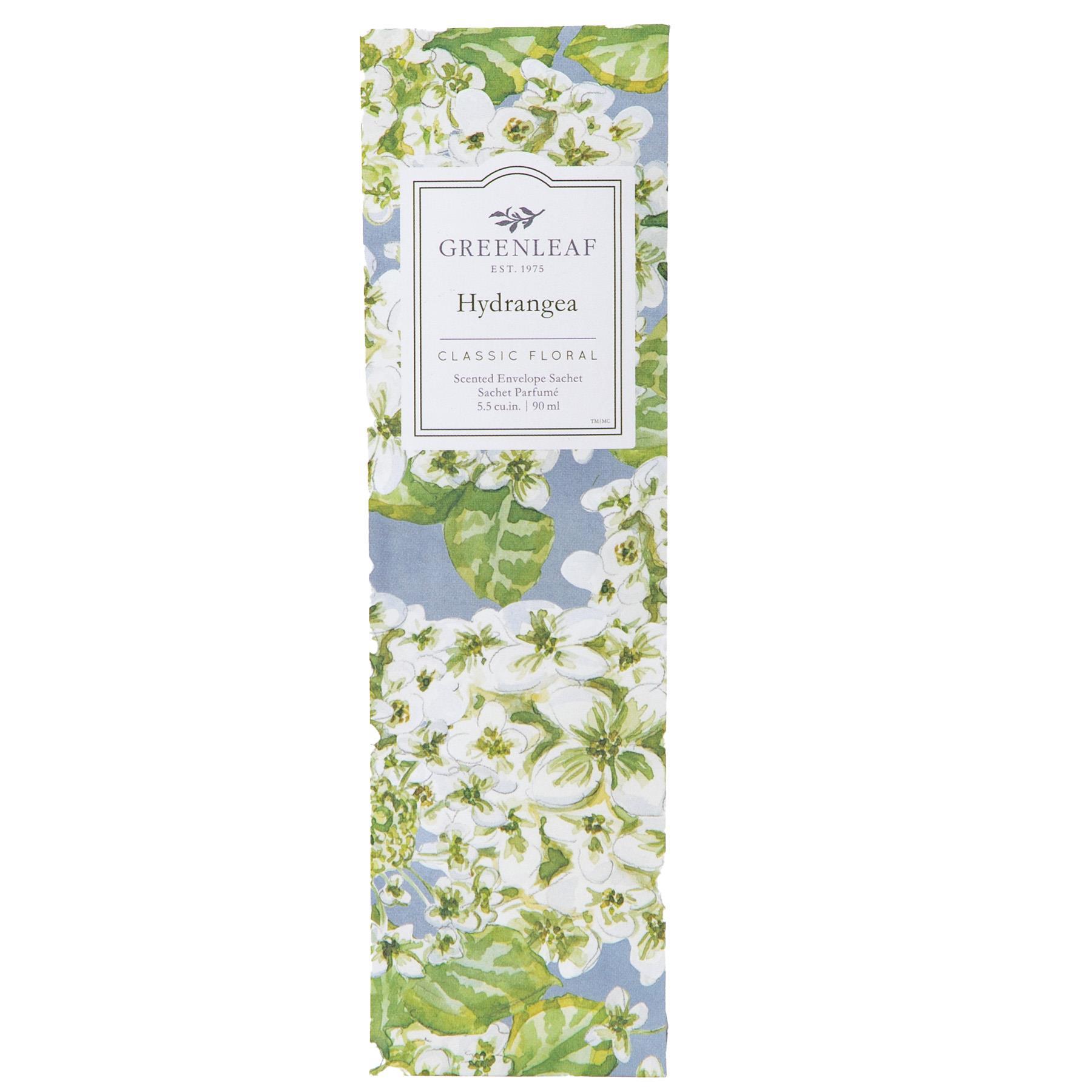 Greenleaf Wholesale | Hydrangea Slim Sachet 12 pack | OneCoast