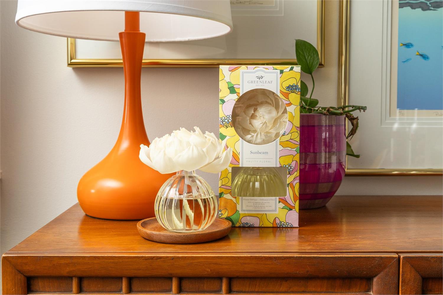 Greenleaf Wholesale | Sunbeam Flower Diffuser 4 Pack | OneCoast