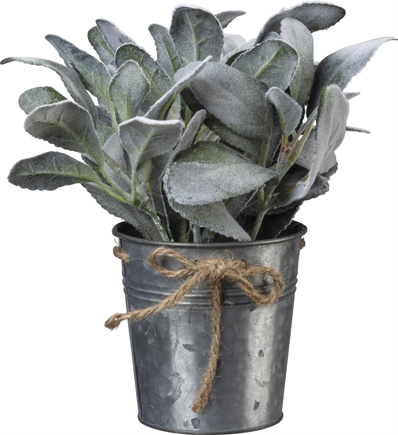 Primitives By Kathy Wholesale | Lamb's Ear Planter | OneCoast