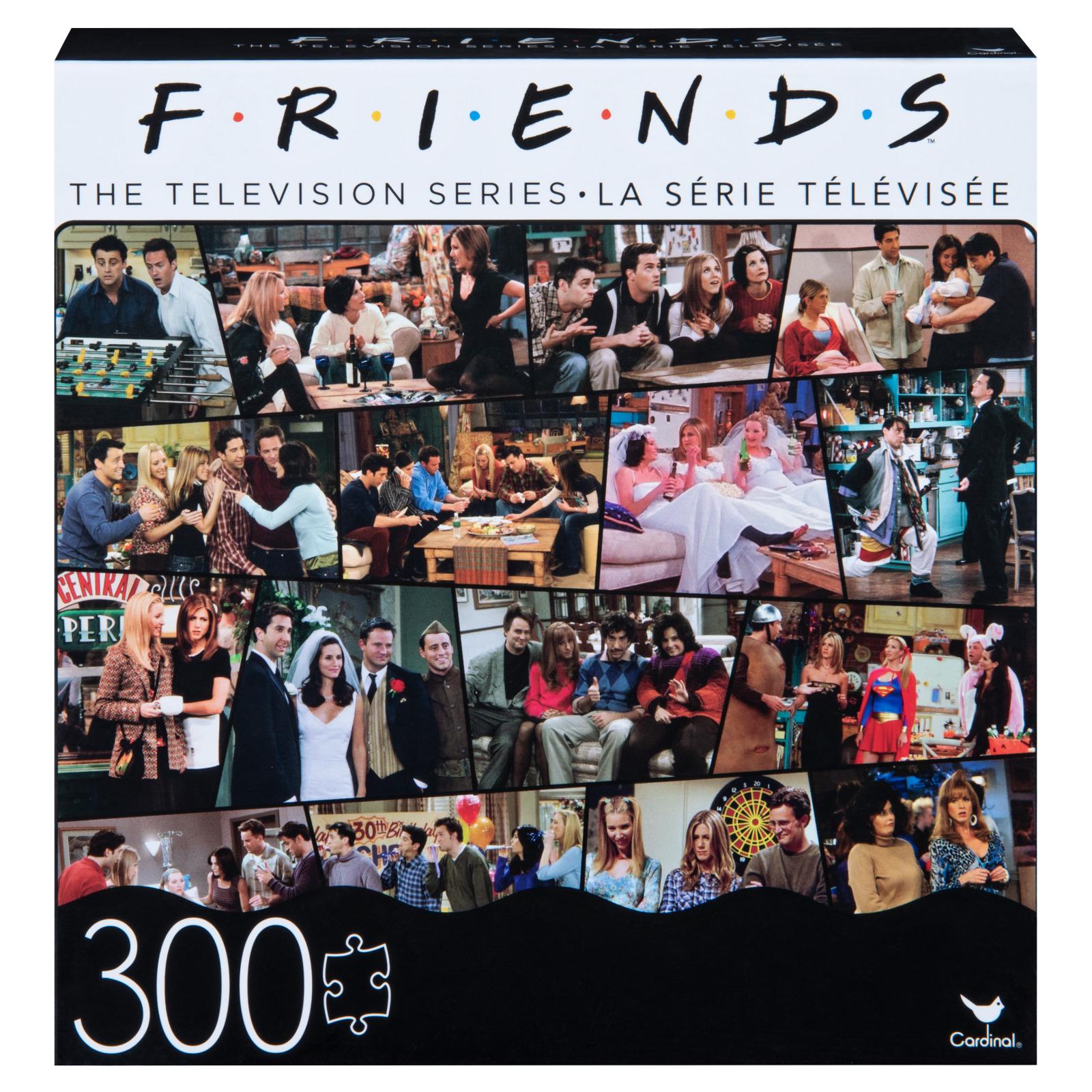 300-Piece Pop Culture Jigsaw Puzzle (Styles Will Vary)