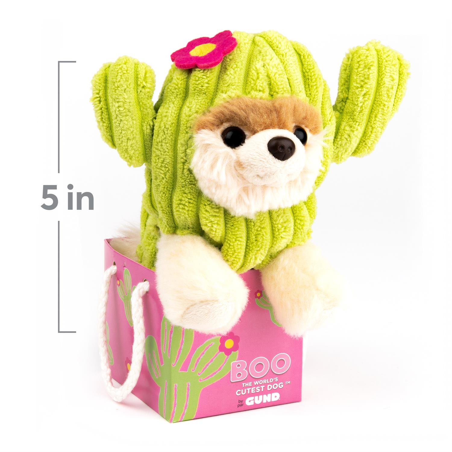 Itty Bitty Boo 62 Cactus, 5 in