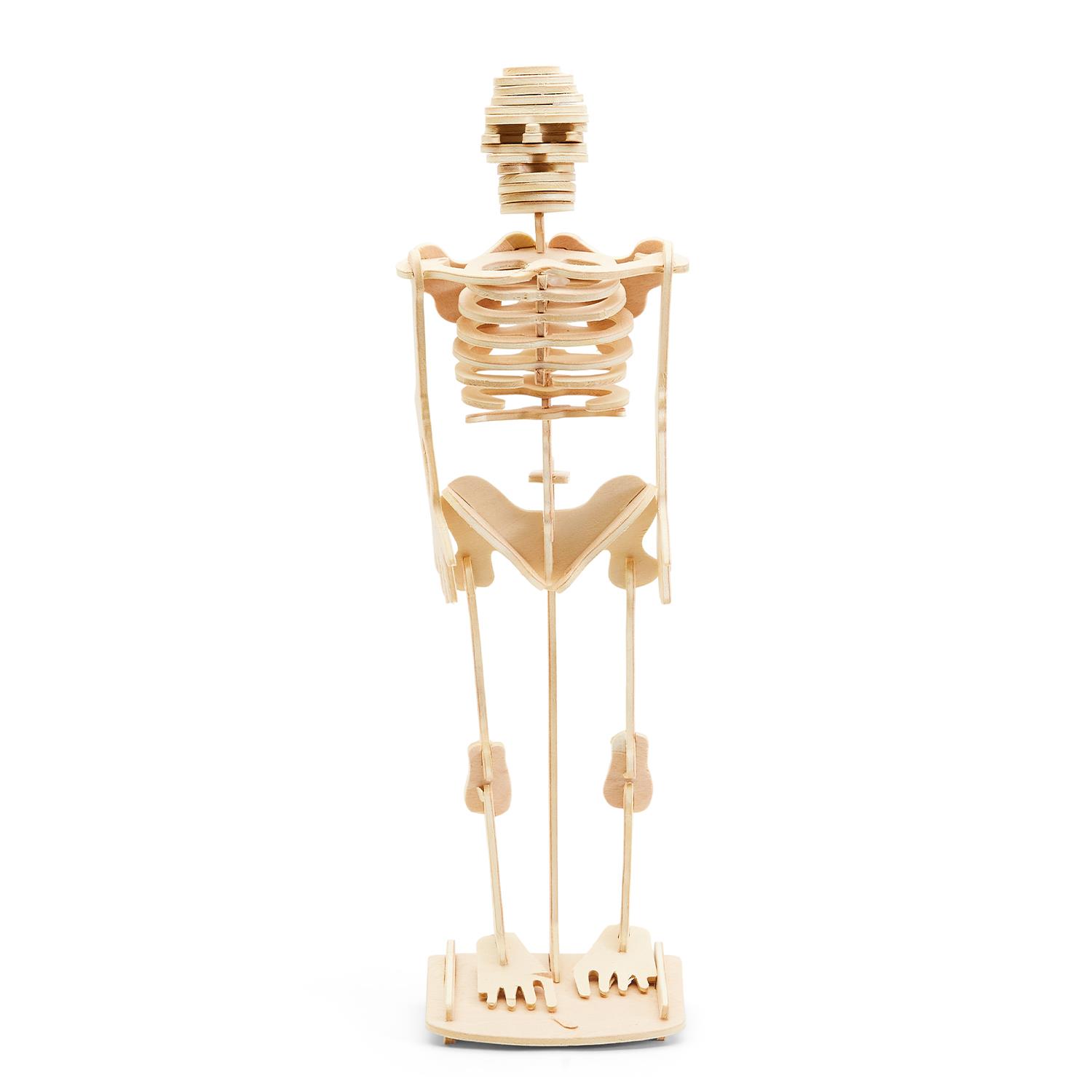 Funny Bones DIY Skeleton 3D Kit