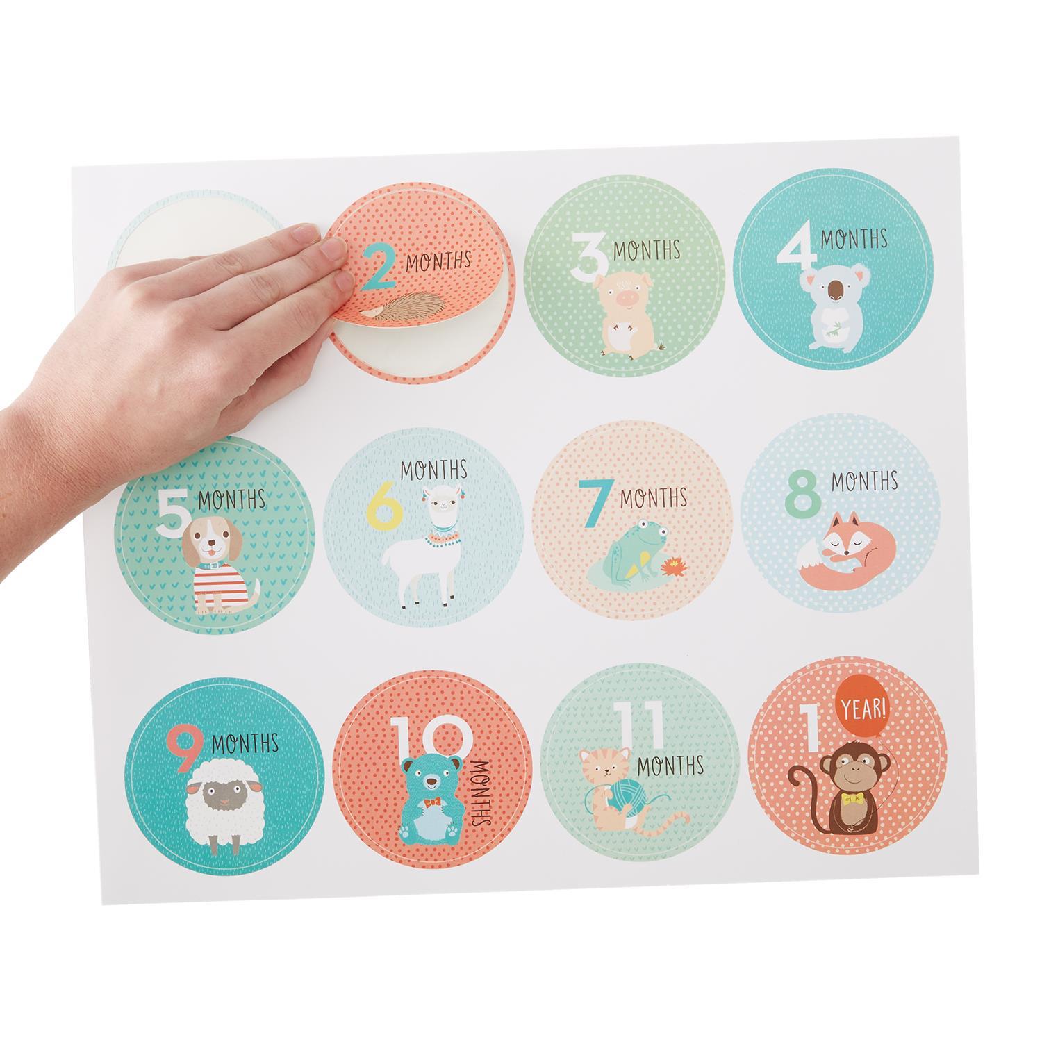 My First Year Photo Frame with 1-12 Month Photo Stickers