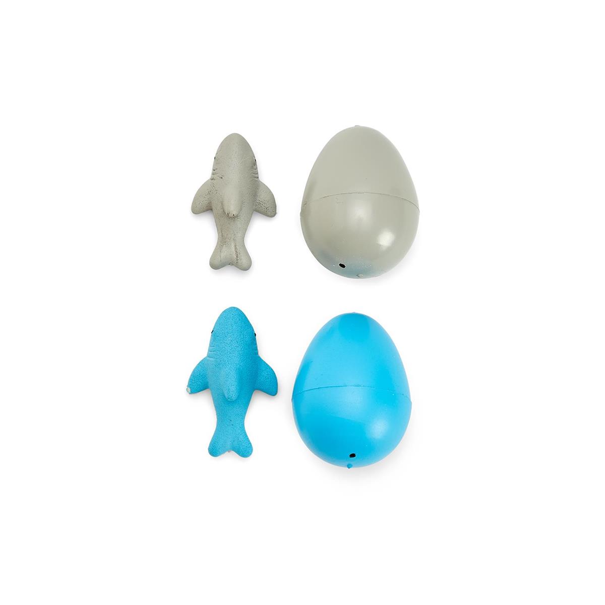 24 Pc Grow Your Shark Un in Gift Box Asst 2 Colors