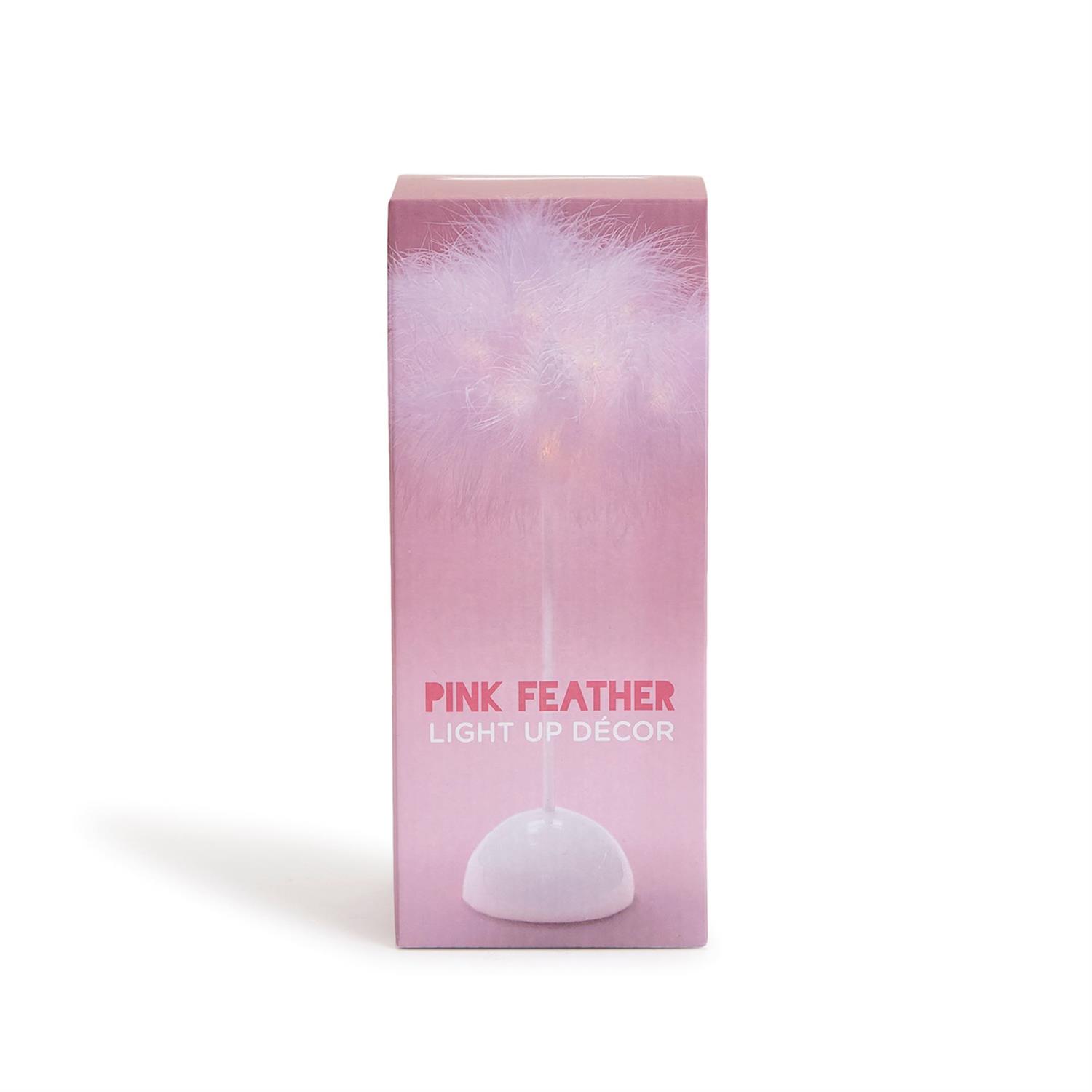 Pink Feather Light Up Décor in Gift Box