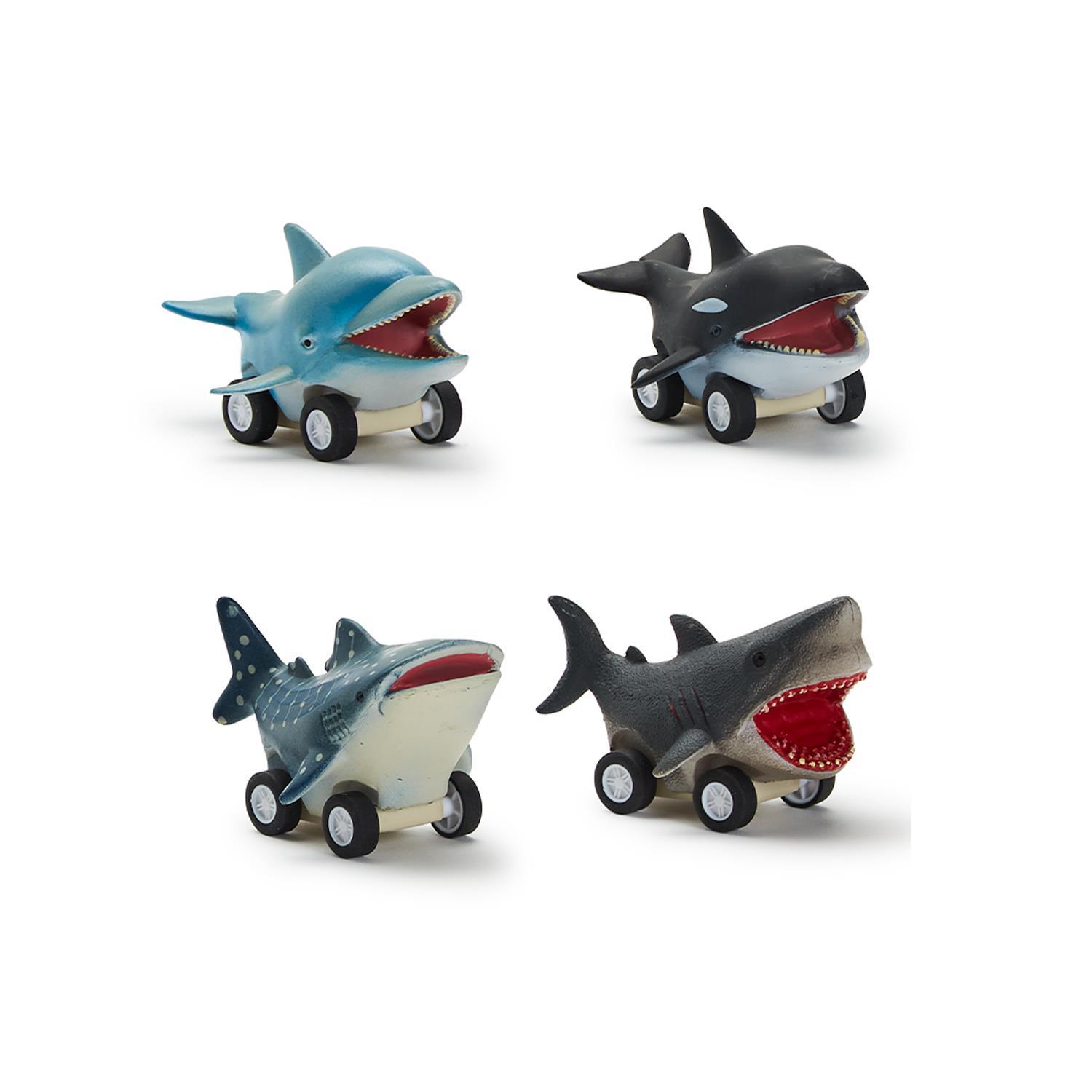 32 Pc Reef Racers Fish Pull Back Toy Unit with Display Includes 4 Designs