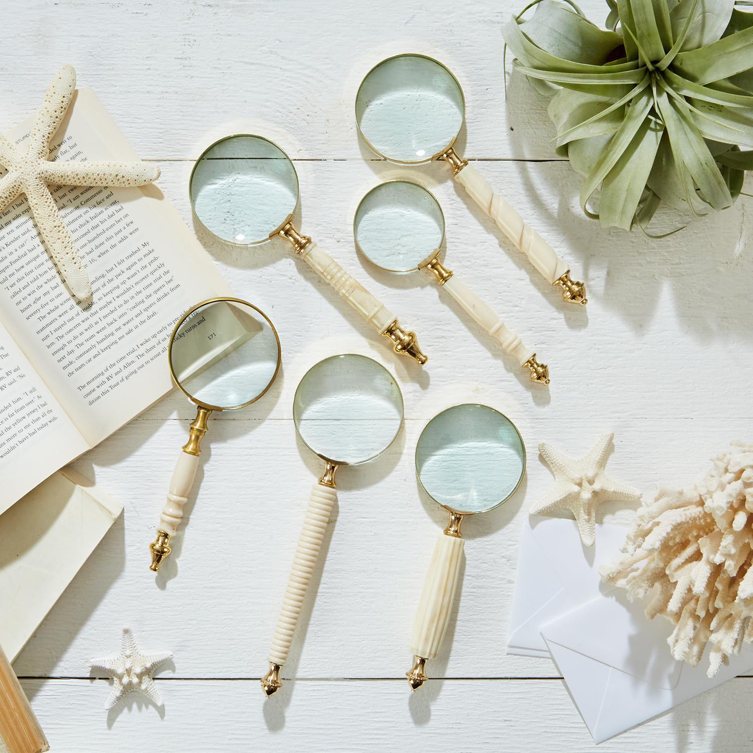 Natura Magnifiers Asst 5 Designs